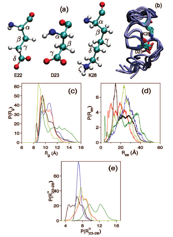 Influence of Preformed Asp23−Lys28 Salt Bridge on the Conformational ...