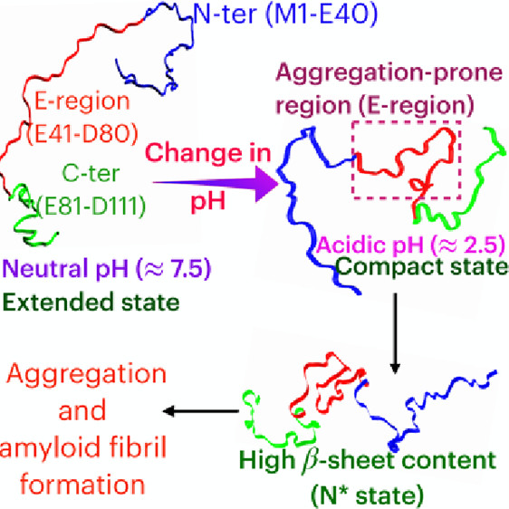 pH Induced Switch in the Conformational Ensemble of Intrinsically ...